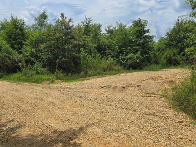 159 Ellison Rd, Rison, AR 71665