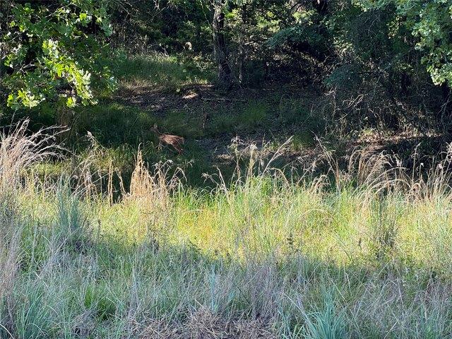 159 Fairway Dr, Nocona, TX 76255