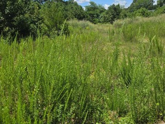 159 Littleworth Mill Rd, Manahawkin, NJ 08050