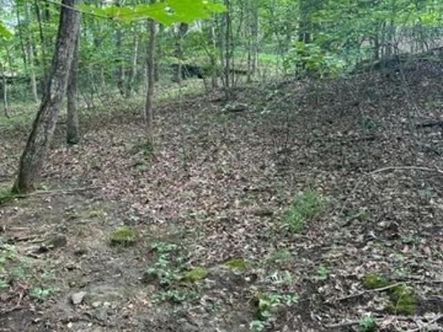 159 Sugarbush Cir Lot 351, Crossville, TN 38558