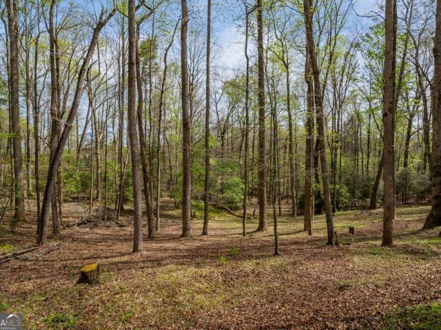 159 Pack Creek Road