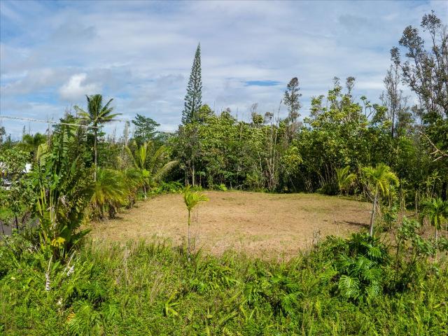 15 448 Anae St, Pahoa, HI 96778 | MLS #728610