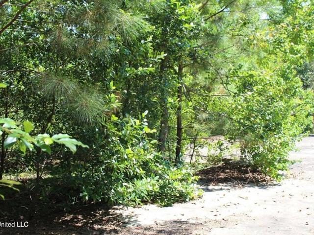 15.4 Acres Lloyd Eubanks Rd, Lucedale, MS 39452