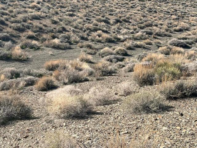 15 521 08 15 52 Parcel Silver Springs, Unit 1552, Silver Springs, NV 89429 | MLS #260003 | Compass