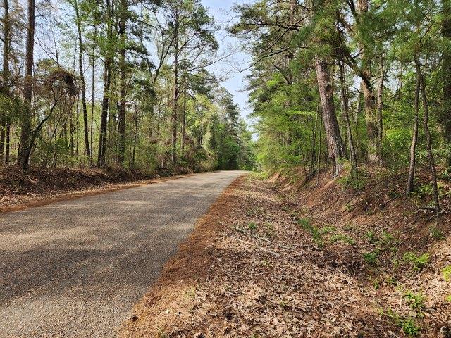 15.56 Acres Ouachita # 63, Louann, AR 71751