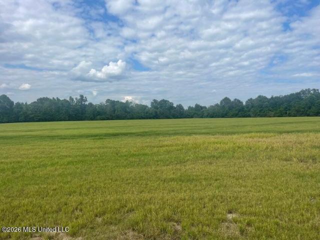 15.5 Ac + Carterville Road