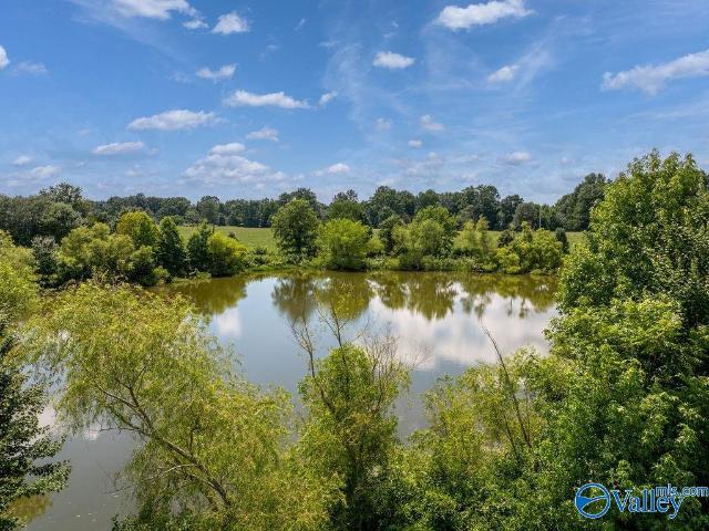 15.5 ACRES County Road 671