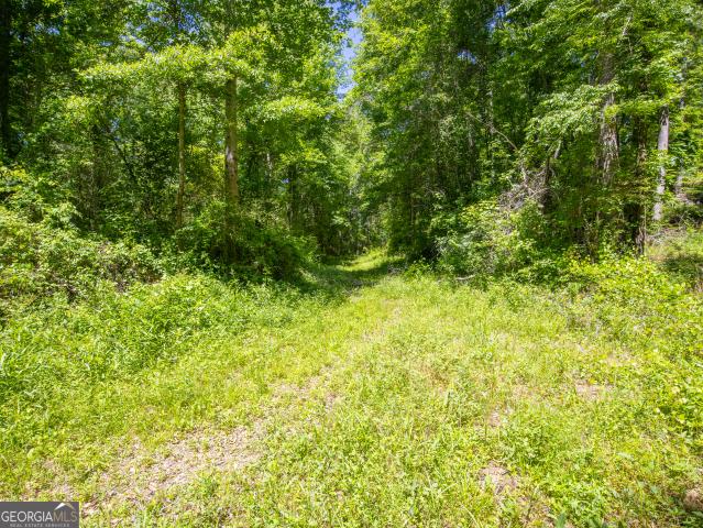 15.74 ACRES Wallace Gray Road