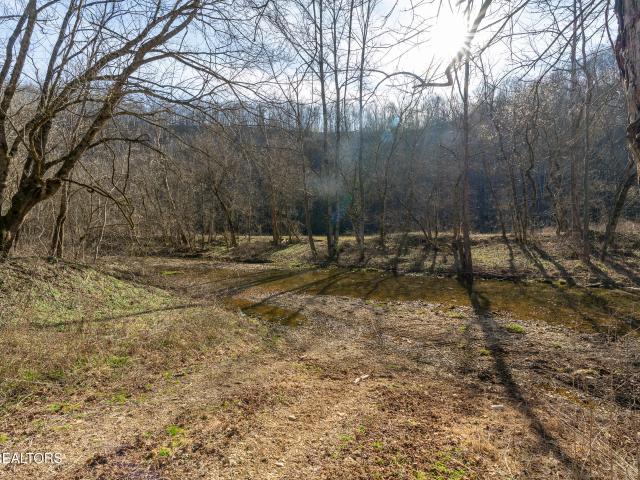 15.76 AC Charlie Allen Lane
