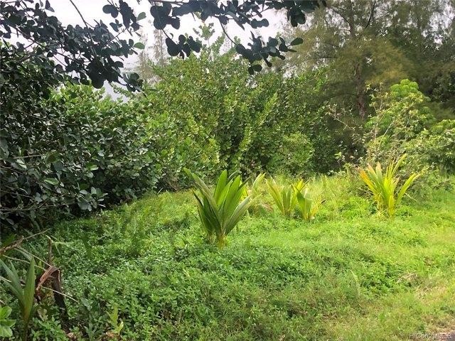 15 920 Paradise Ala Kai Dr, Keaau, HI 96749