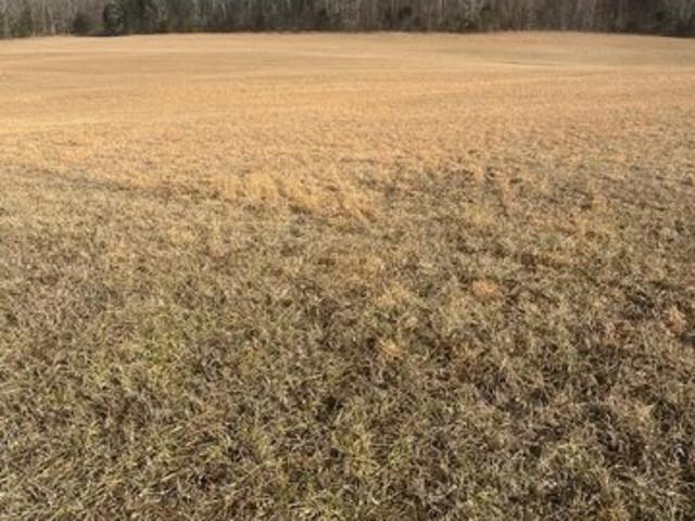 15.97 Acres Lawson Bottom Rd, Burkesville, KY 42717