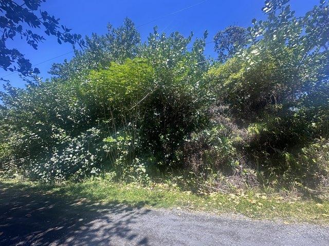 15 1144 Amau Rd, Keaau, HI 96749