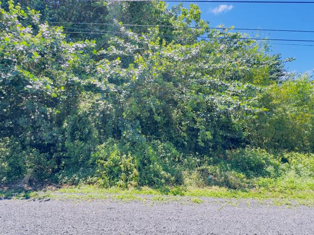 15 135 th Ave, Keaau, HI 96749 | MLS #729036