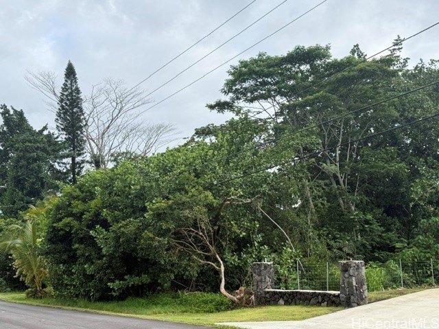 15 1611 Beach Rd, Keaau, HI 96749