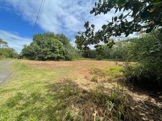 15 2005 2nd Ave, Keaau, HI 96749