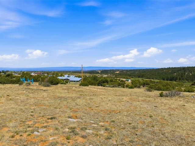 15.22 Acres County Road 75