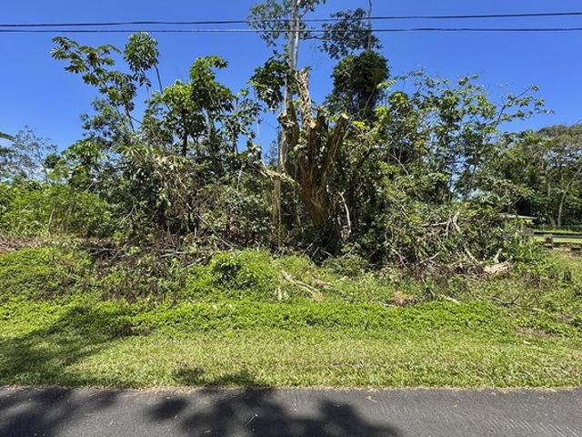 15 2681 Kawakawa St, Pahoa, HI 96778
