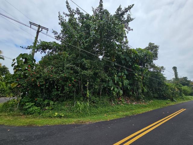 15 2710 Lot 4 Palani St, Pahoa, HI 96778 | MLS #703816