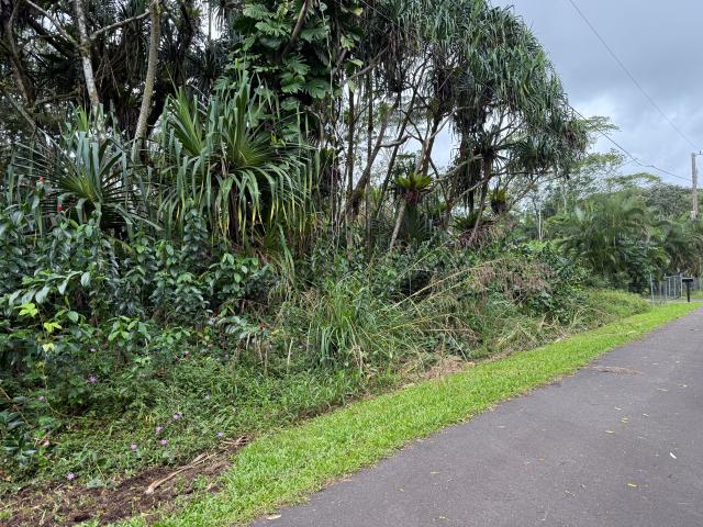 15 2794 Oio St, Pahoa, HI 96778 | MLS #728554