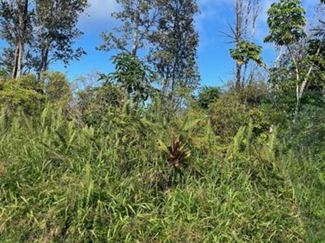 15 2811 Lai St, Pahoa, HI 96778
