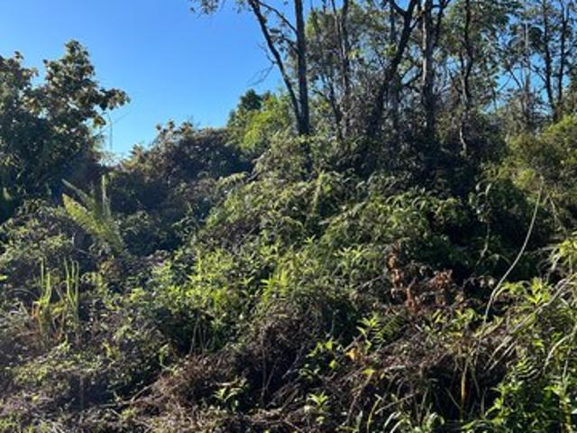 15 th Ave, Keaau, HI 96749
