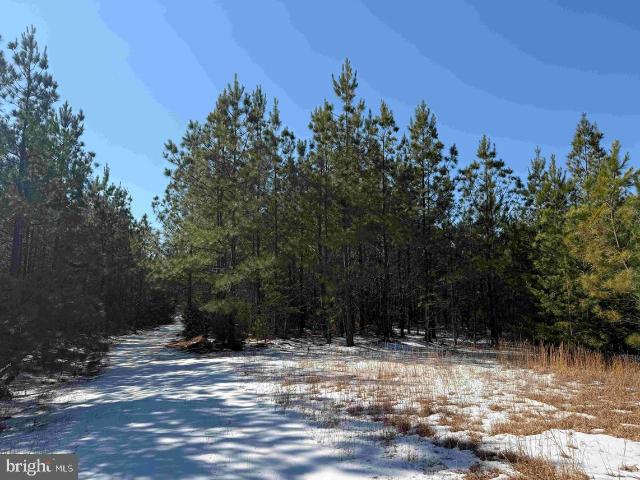 15 tract: Tonguequarter, Dillwyn, VA 23936 | MLS #VABH2000 | Compass