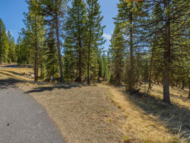 15 York St, McCall, ID 83638 | MLS #98982