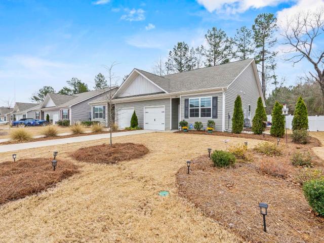 15 A Beechnut