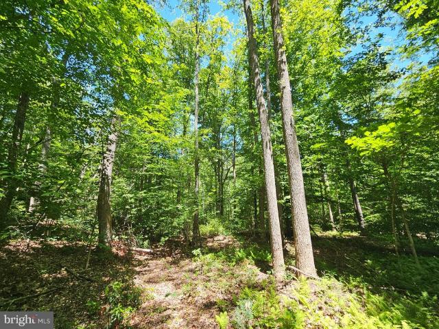 15 AC Manteo Road