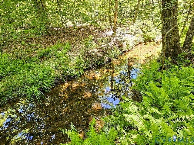 15 Ac Manteo Rd, Buckingham, VA 23921