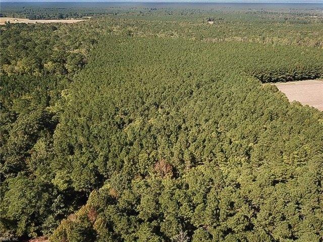 15 Acres Cypress Chapel Rd, Suffolk, VA 23434