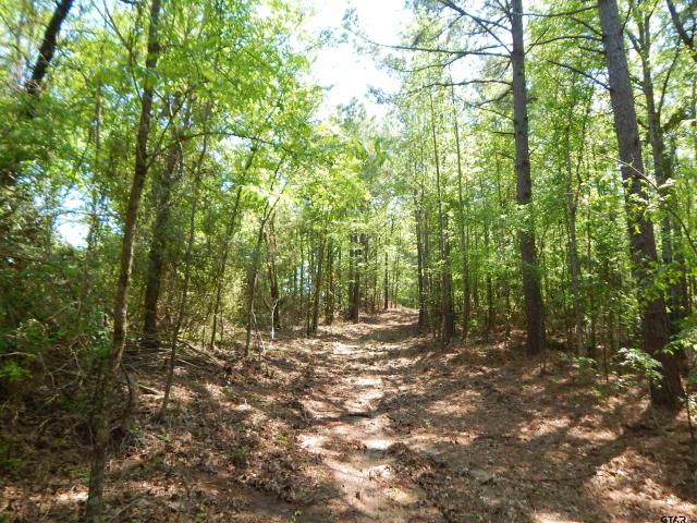 15 Acres Fm 1795, Side 2, Big Sandy, TX 75755 | MLS #25005