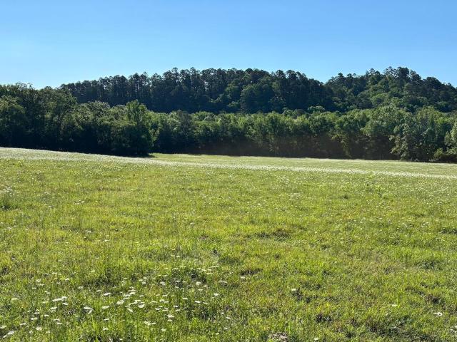 15 acres Liberty Road