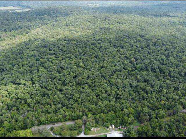 15 Acres Mill Rd, Woodville, AL 35776