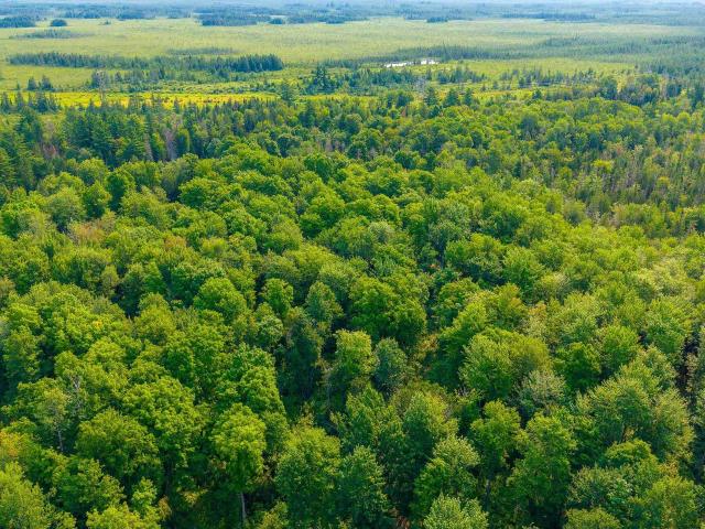 15 Acres off Bob's Creek Truck Trail