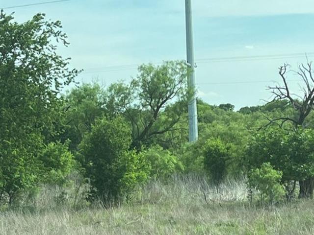 15 Acres S Highway 287, Henrietta, TX 76365