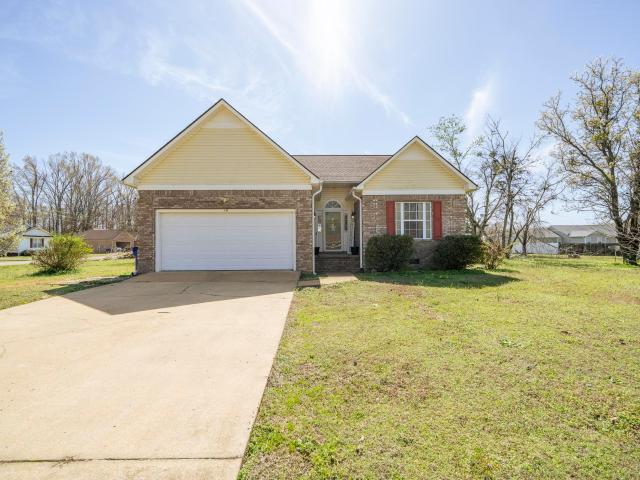 15 bluebell cv