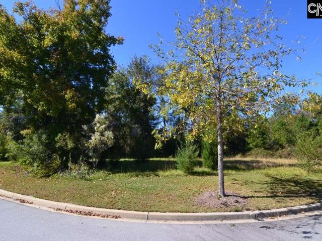 15 Blythe View Court Lot 9
