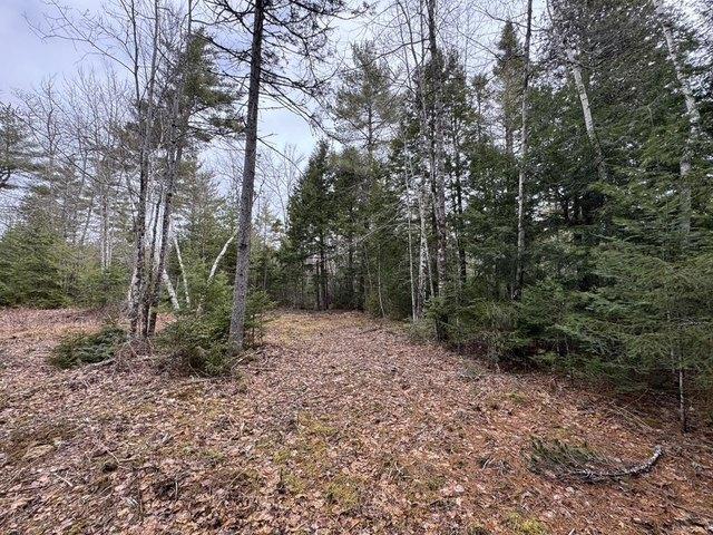 15 Bufford Dr, Waltham, ME 04605