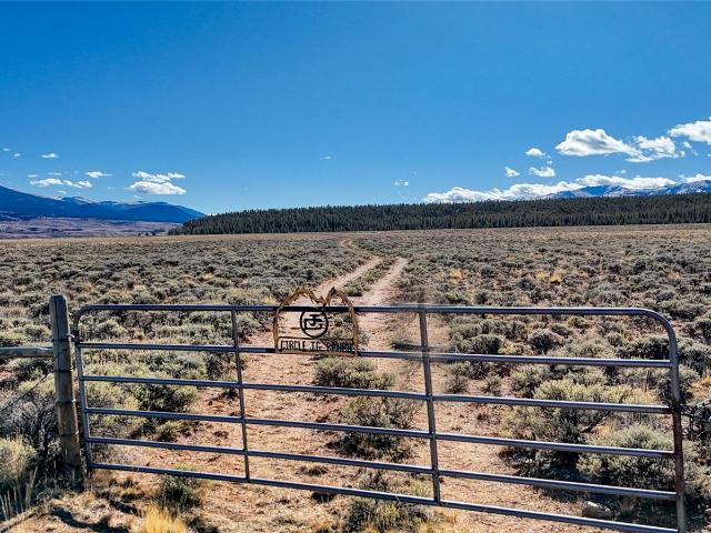 15 County Road 10, Leadville, CO 80461 | MLS #3437