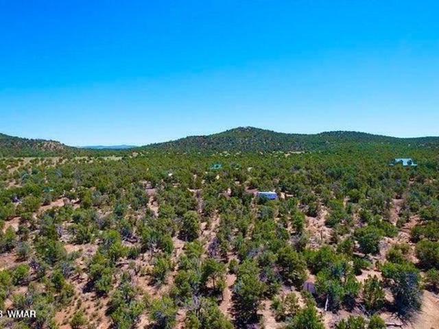 15 County Road 3037 Acres, Vernon, AZ 85940