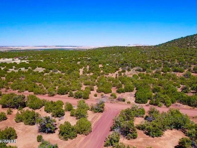 15 County Rd, Show Low, AZ 85901 | MLS #260777 | Compass