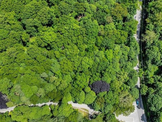 15 Darlington Rd, Bedford, NY 10549
