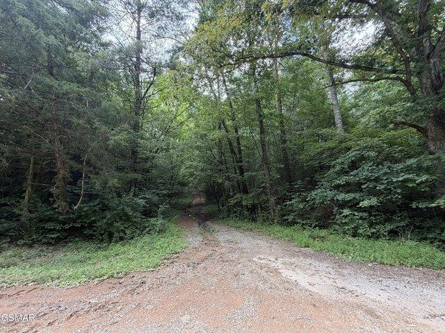 15 Forge Hideaway Rd, Pigeon Forge, TN 37863