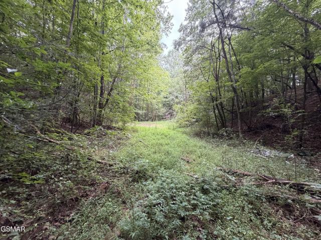 15 Forge Hideaway Road