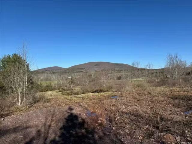 15 Meadow Lane, Jewett, NY 12444 655591348