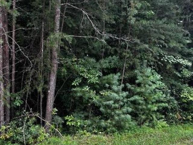 15 Minetta Ct, Crossville, TN 38558