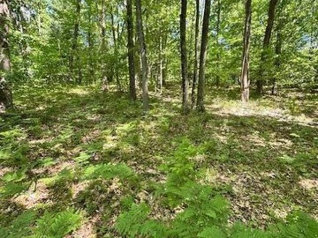 15 Mile Rd, Big Rapids, MI 49307