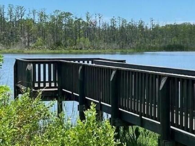 15 Mulberry Rd, Palm Coast, FL 32164 | MLS #2107