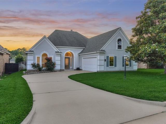 15 Newberry Ct, Montgomery, TX 77356